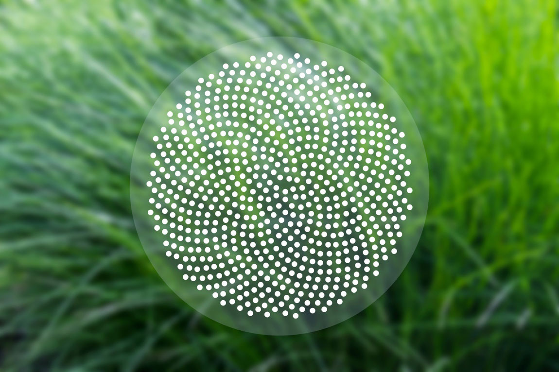 Finity Population Health Intelligence