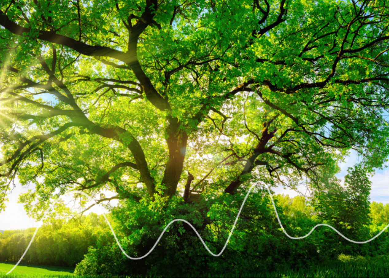 Finity – Population Health Intelligence
